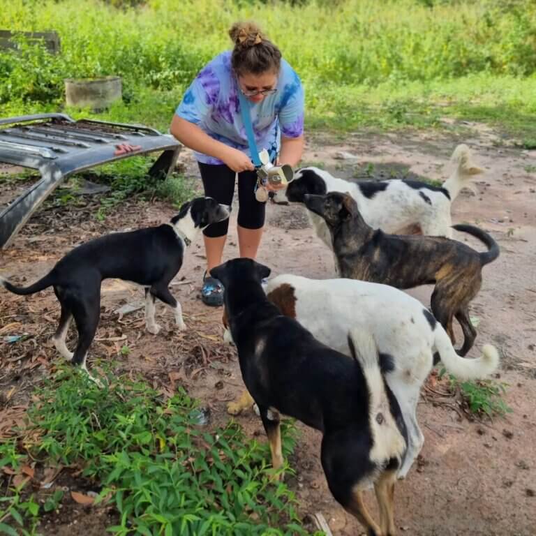 Rescue Paws Thailand – Animal Welfare in Thailand