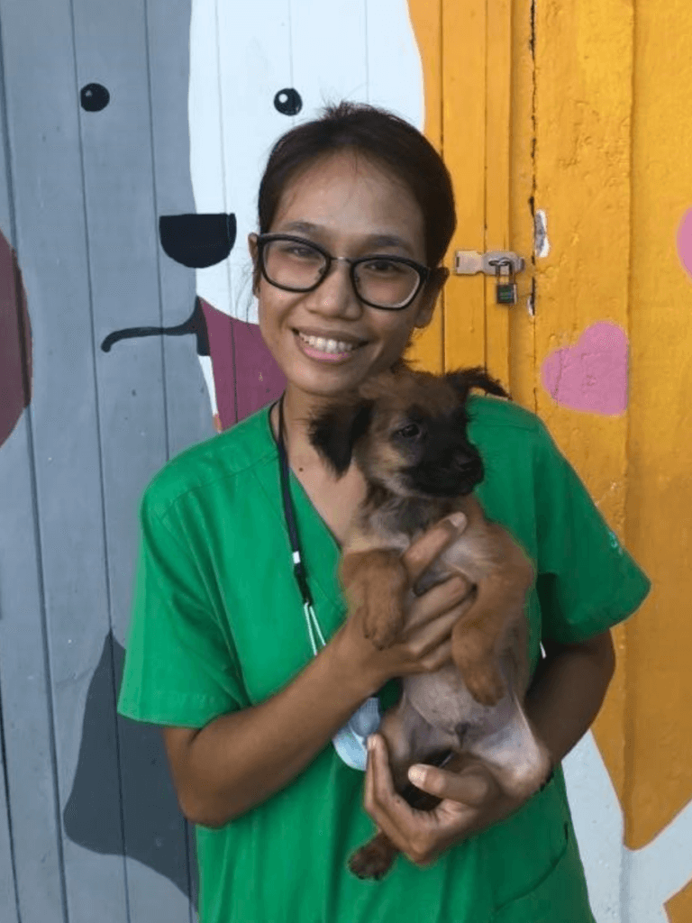 Our Team – Rescue Paws Thailand